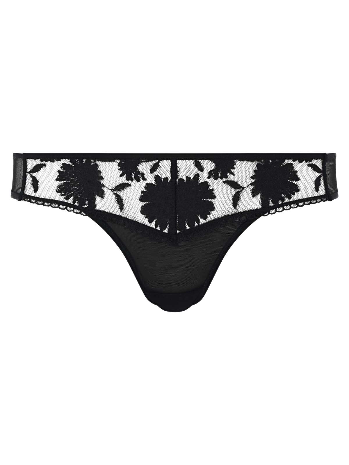 String - Santa Fé Noir | Darjeeling